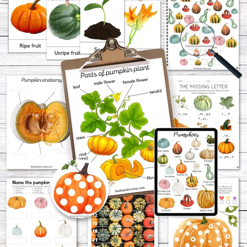 Pumpkin Variety Poster - Etsy