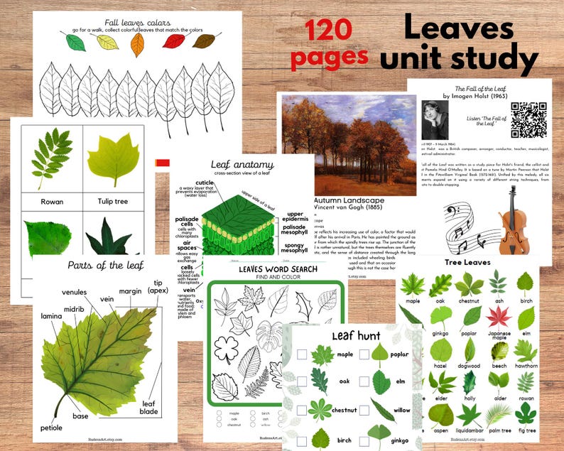 Leaves Unit Study, Leaf Anatomy, Three-part Cards, Montessori Materials ...