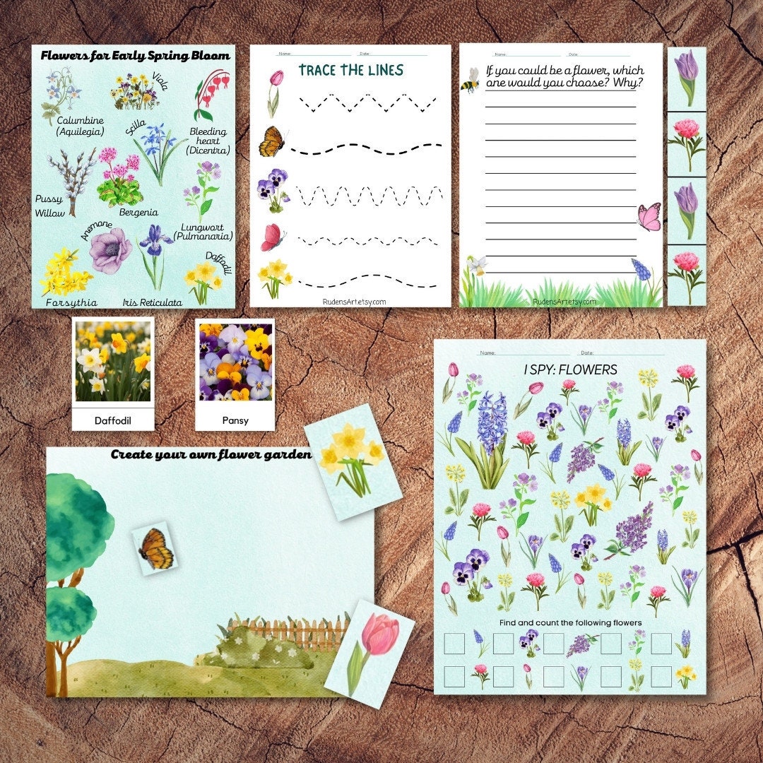 Spring Flowers Learning Pack Spring Flowers Flashcards | Etsy
