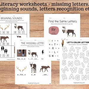 Reindeer Unit Study, Reindeer Anatomy, Caribou Life Cycle, Art, Poetry ...