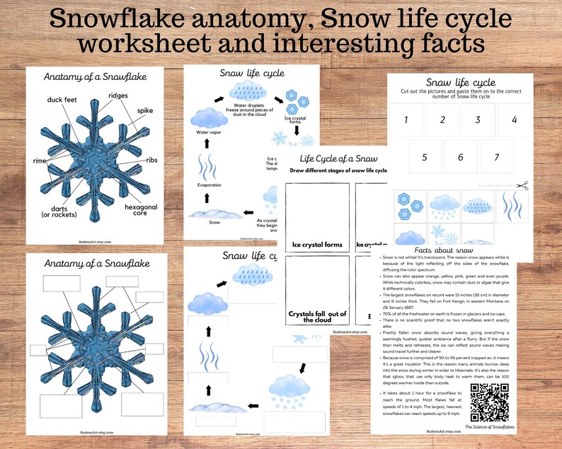 Snow Unit Study, Snowflake Anatomy, Snow Life Cycle, Snowflakes Three ...