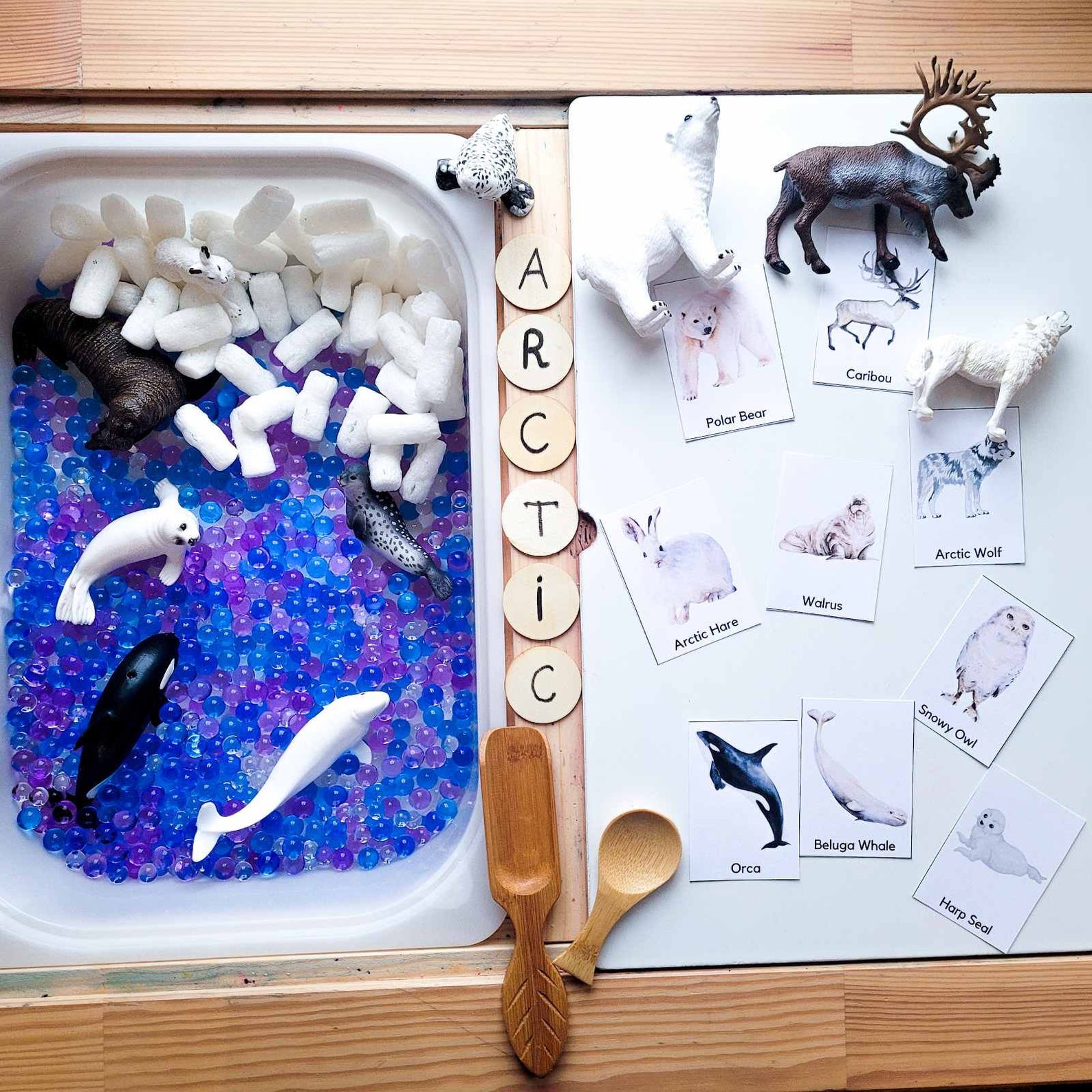 Arctic Animals Flashcards, Arctic Animals 3 Part Cards, Montessori ...