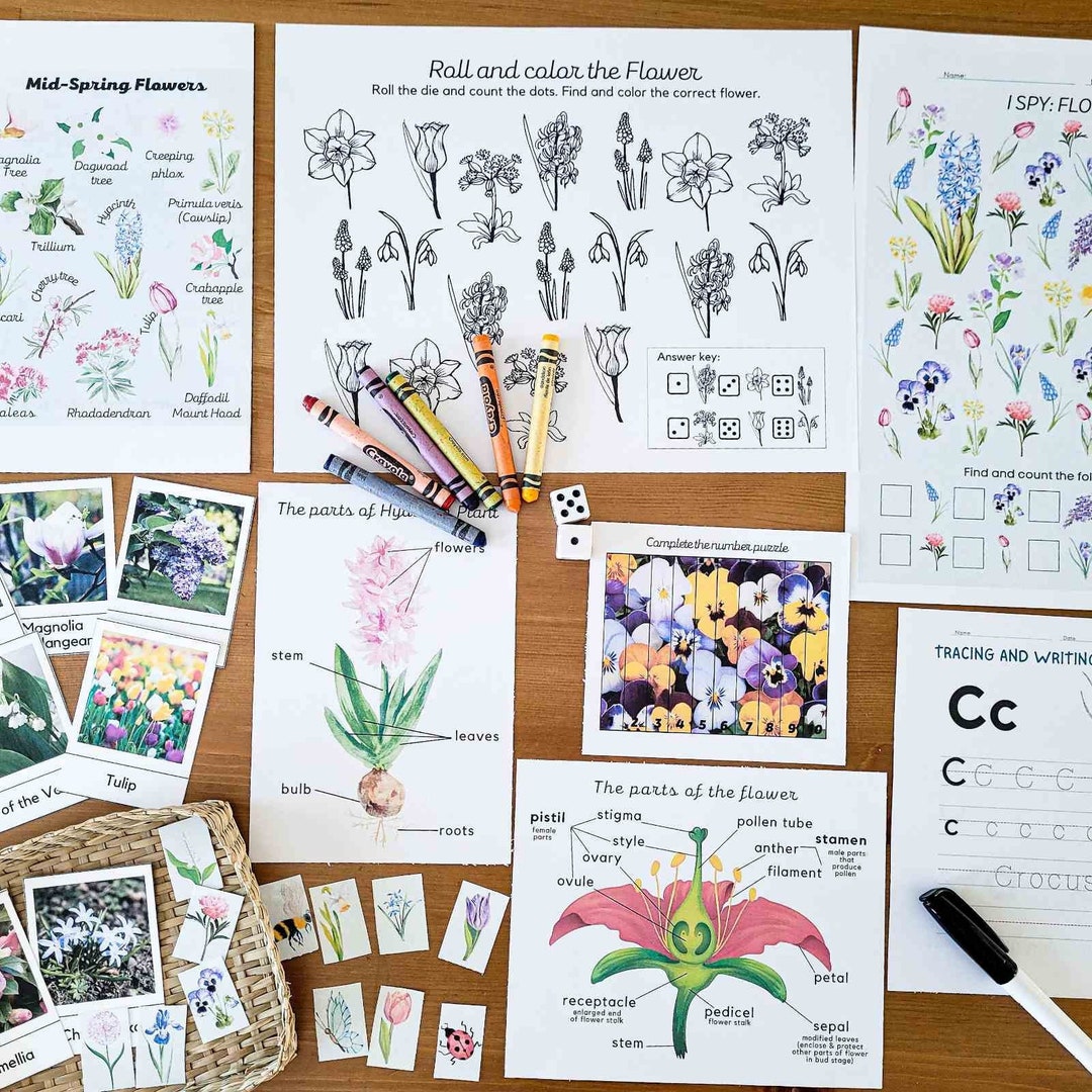 Spring Flowers Learning Pack - Spring Flowers Flashcards, Flowers ...