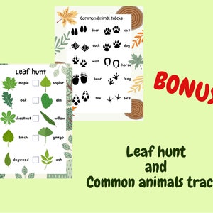 Camping Worksheets for Kids, Literacy and Math Learning Binder for ...