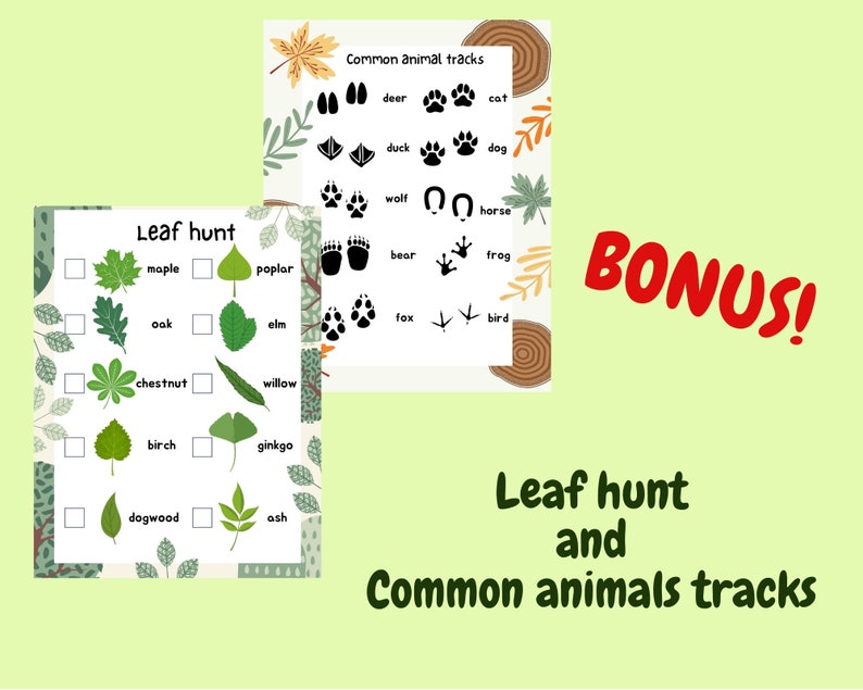Camping Worksheets for Kids Literacy and Math Learning Binder - Etsy