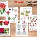 Poinsettia Unit Study Poinsettia Anatomy and Life Cycle - Etsy