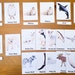 Arctic Animals Worksheets, Winter Preschool Worksheets for Kids ...