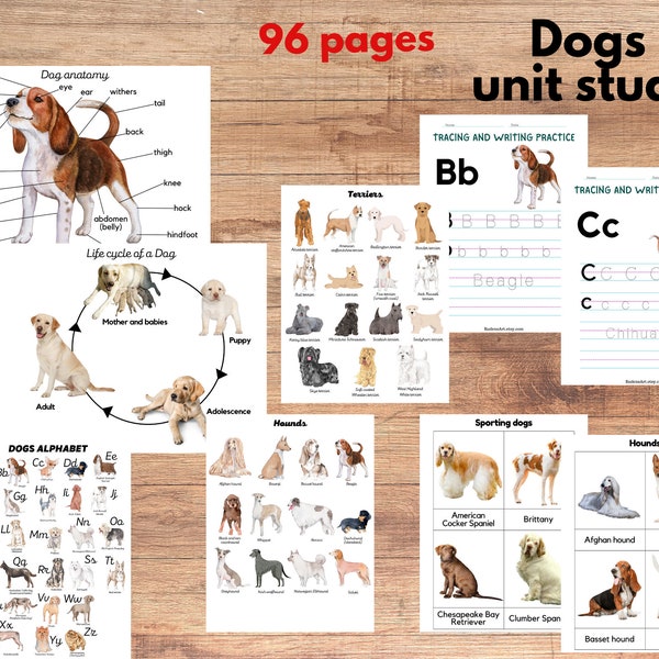 Dog Cards - Etsy