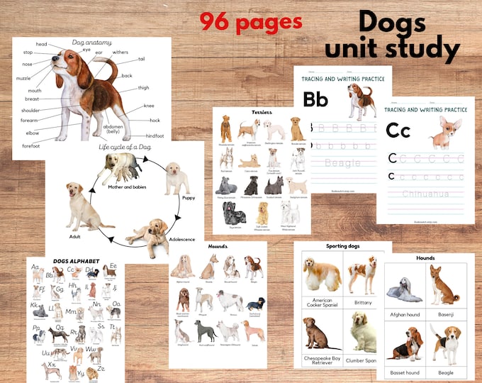 Dogs Unit Study, Dog Anatomy and Dog Breeds Three-part Cards, Math ...