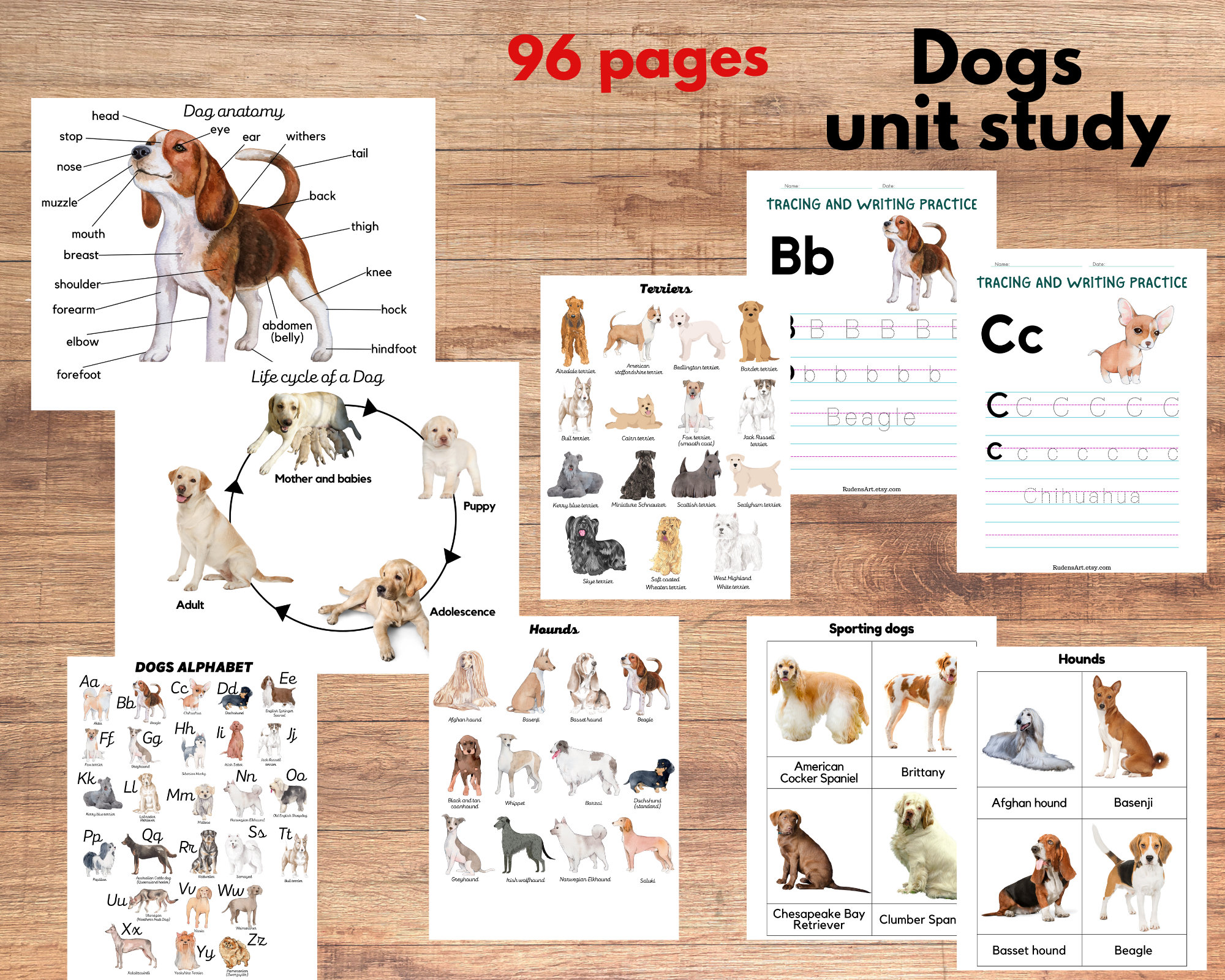 Puppy Dog Math Charts