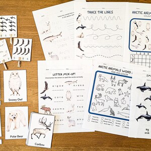 Arctic Animals Worksheets, Winter Preschool Worksheets for Kids ...