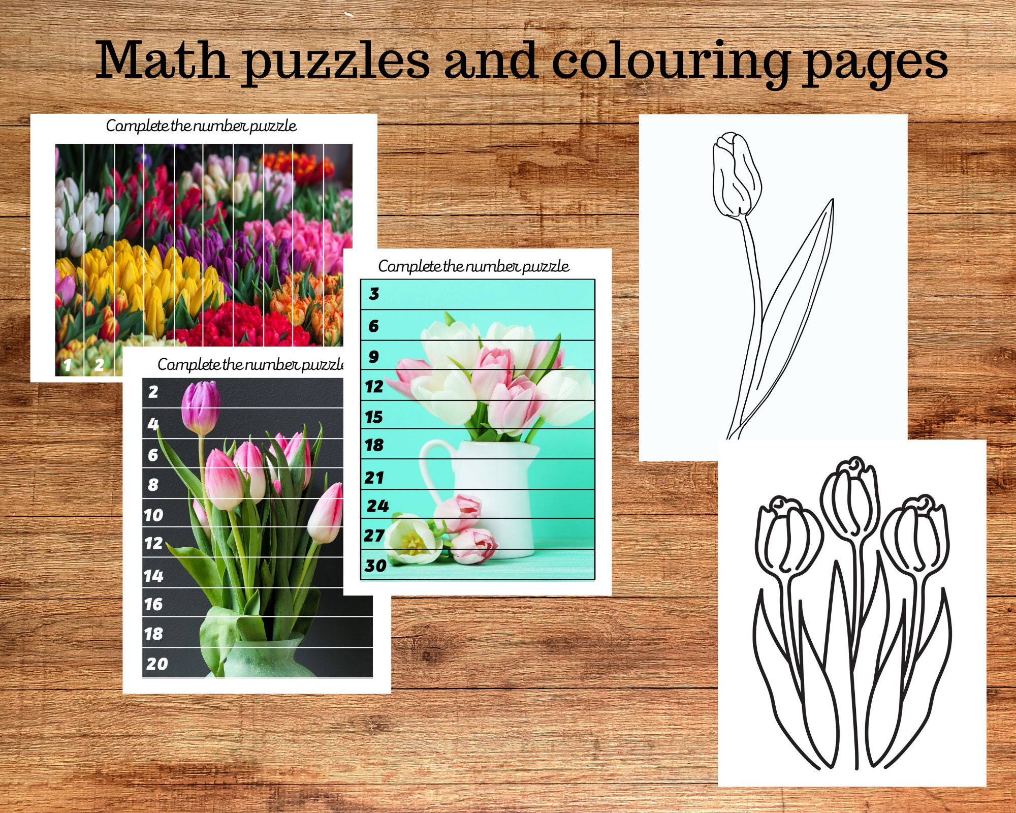 Tulip Anatomy Mini Study Tulip Learning Pack Tulips - Etsy