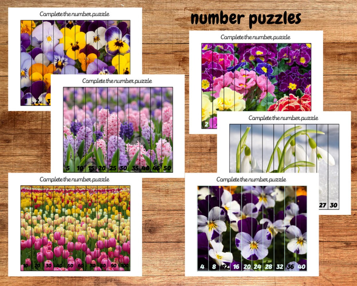 Spring Flowers Learning Pack Spring Flowers Flashcards | Etsy