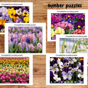Spring Flowers Unit Study – Flashcards, Classification, Anatomy ...