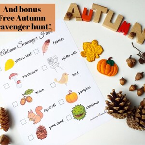 Fall Worksheets for Kids, Autumn Preschool and Kindergarten Worksheets ...