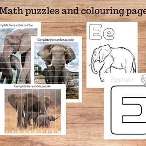 Elephant Unit Study, Elephant Anatomy and Species Three Part Cards ...
