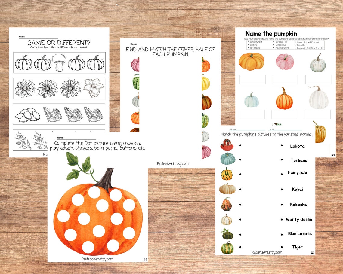Pumpkin Unit Study Pumpkin Anatomy and Life Cycle Pumpkin - Etsy