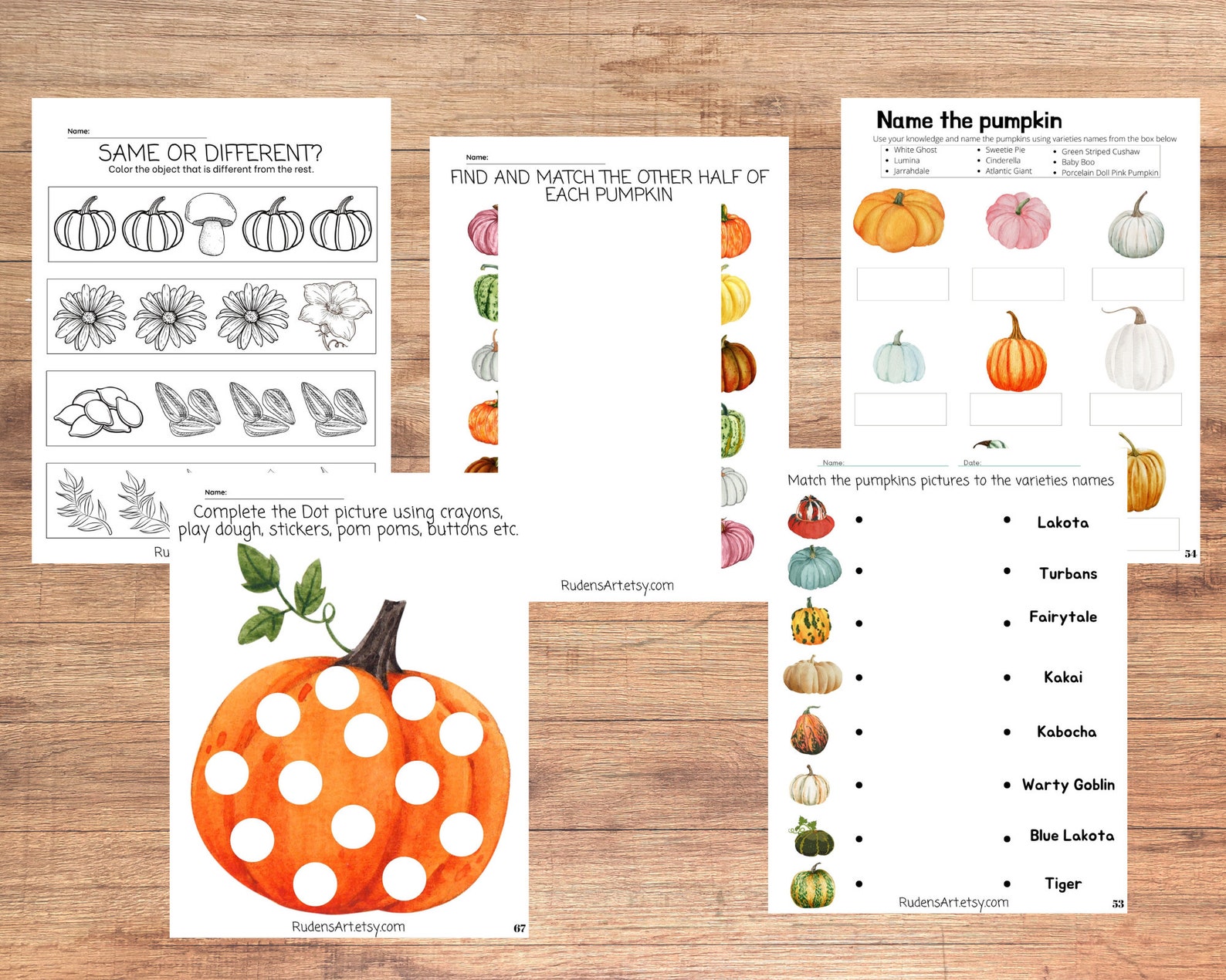 Pumpkin Unit Study, Pumpkin Anatomy and Life Cycle, Pumpkin Varieties ...