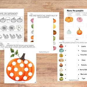 Pumpkin Unit Study, Pumpkin Anatomy and Life Cycle, Pumpkin Varieties ...
