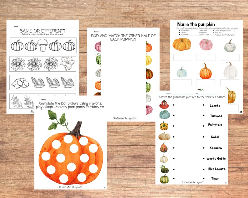 Pumpkin Unit Study Pumpkin Anatomy and Life Cycle Pumpkin - Etsy