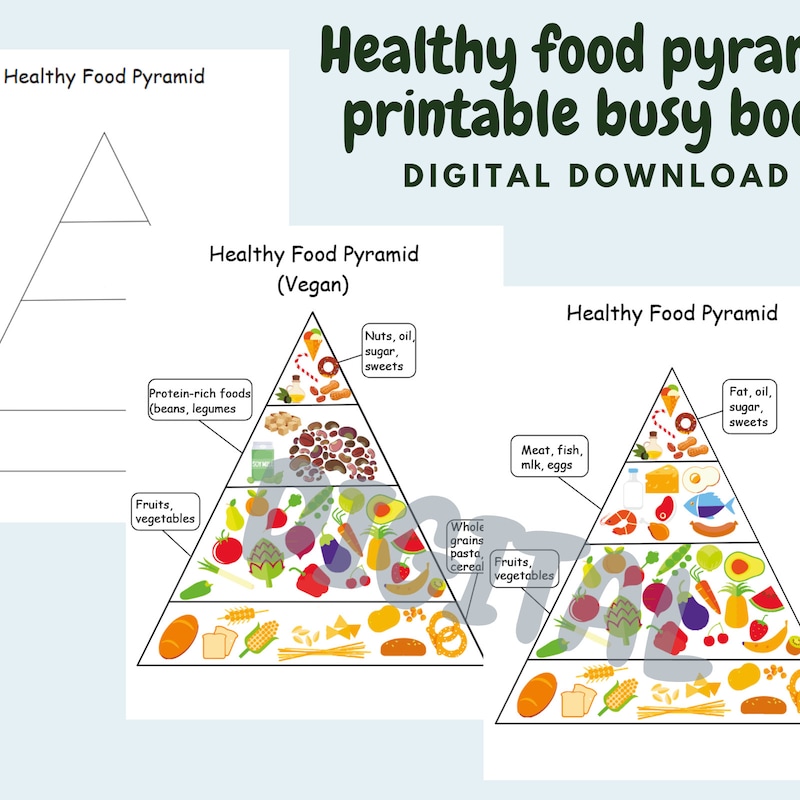 The Food Pyramid for Kids - Etsy