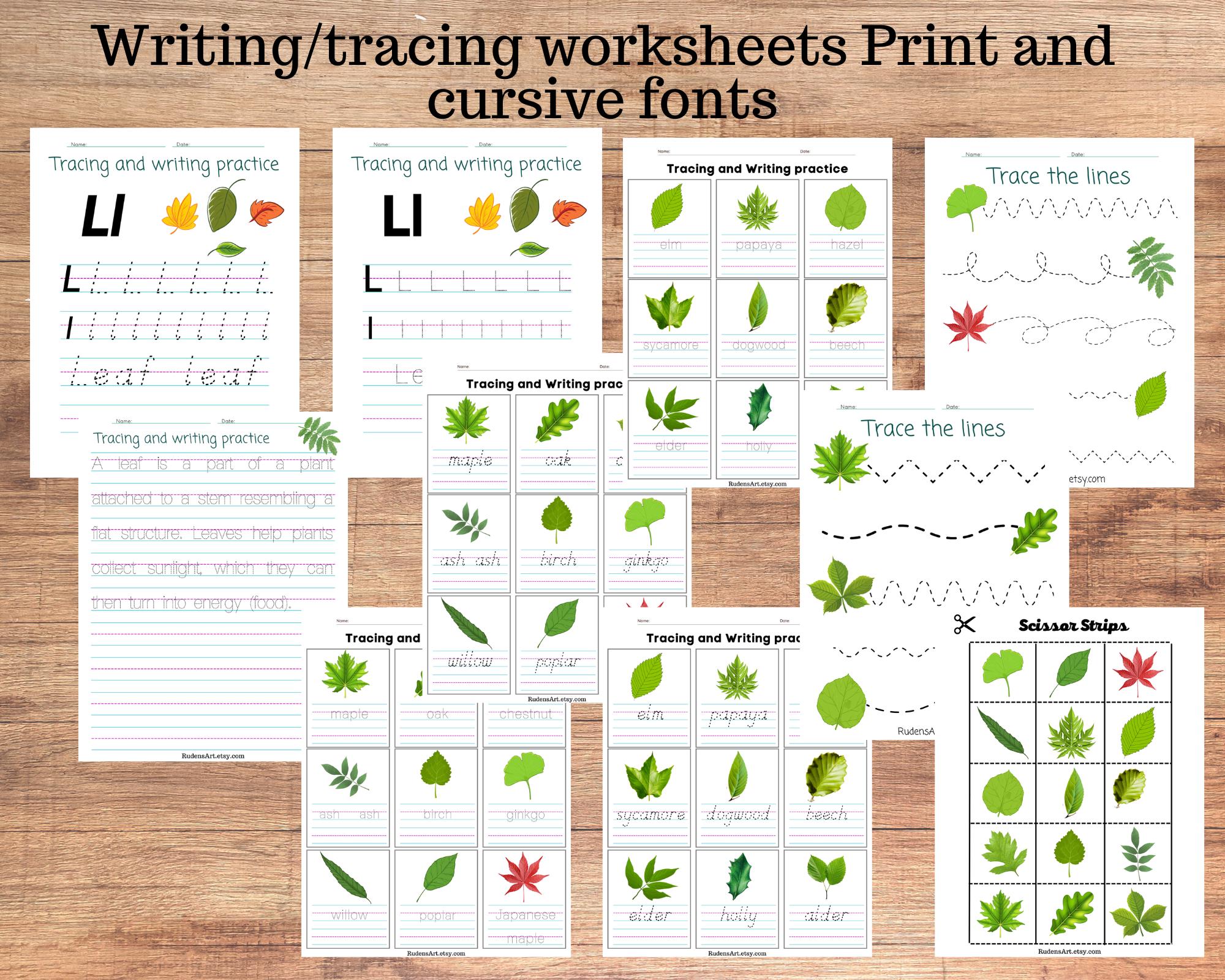 Leaves Unit Study, Leaf Anatomy, Three-part Cards, Montessori Materials ...