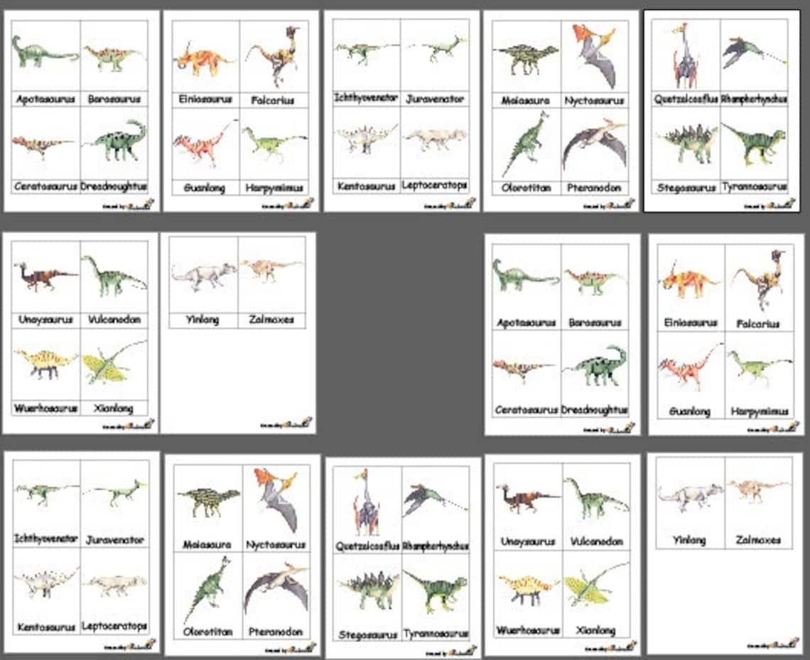 Dinosaur Flash Cards Montessori Three Part Cardsrealistic - Etsy Canada