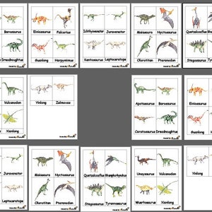 Dinosaur Flash Cards, Montessori Three Part Cards,realistic Watercolor ...