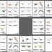 Dinosaur Flash Cards, Montessori Three Part Cards,realistic Watercolor ...