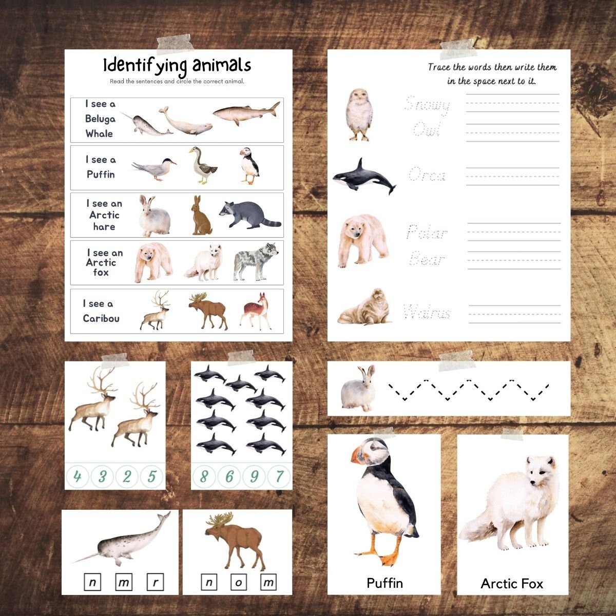 Arctic Animals Worksheets, Winter Preschool Worksheets for Kids ...