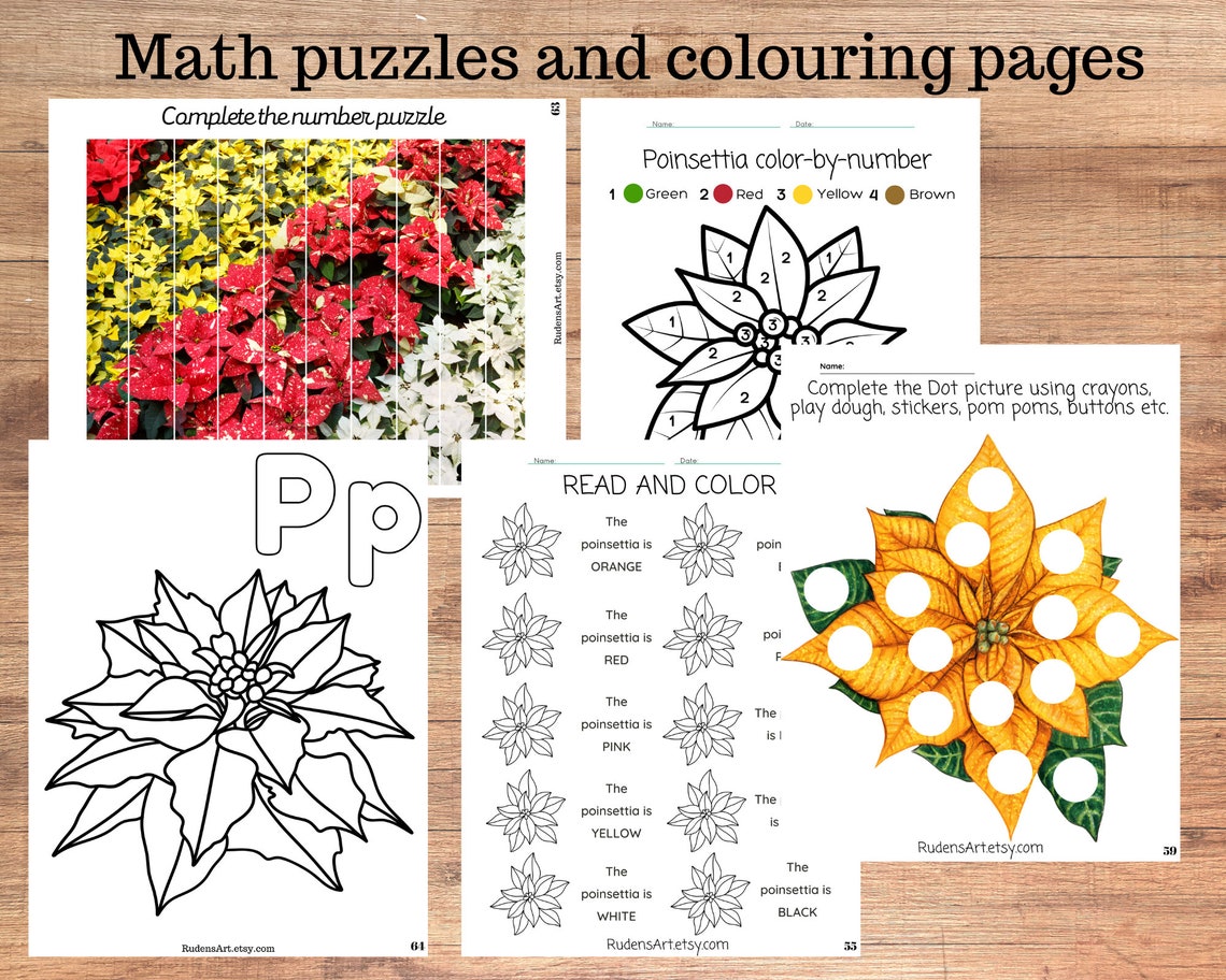 Poinsettia Unit Study Poinsettia Anatomy and Life Cycle - Etsy
