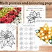 Poinsettia Unit Study, Poinsettia Anatomy and Life Cycle, Poinsettia ...