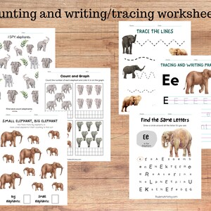 Elephant Unit Study, Elephant Anatomy and Species Three Part Cards ...