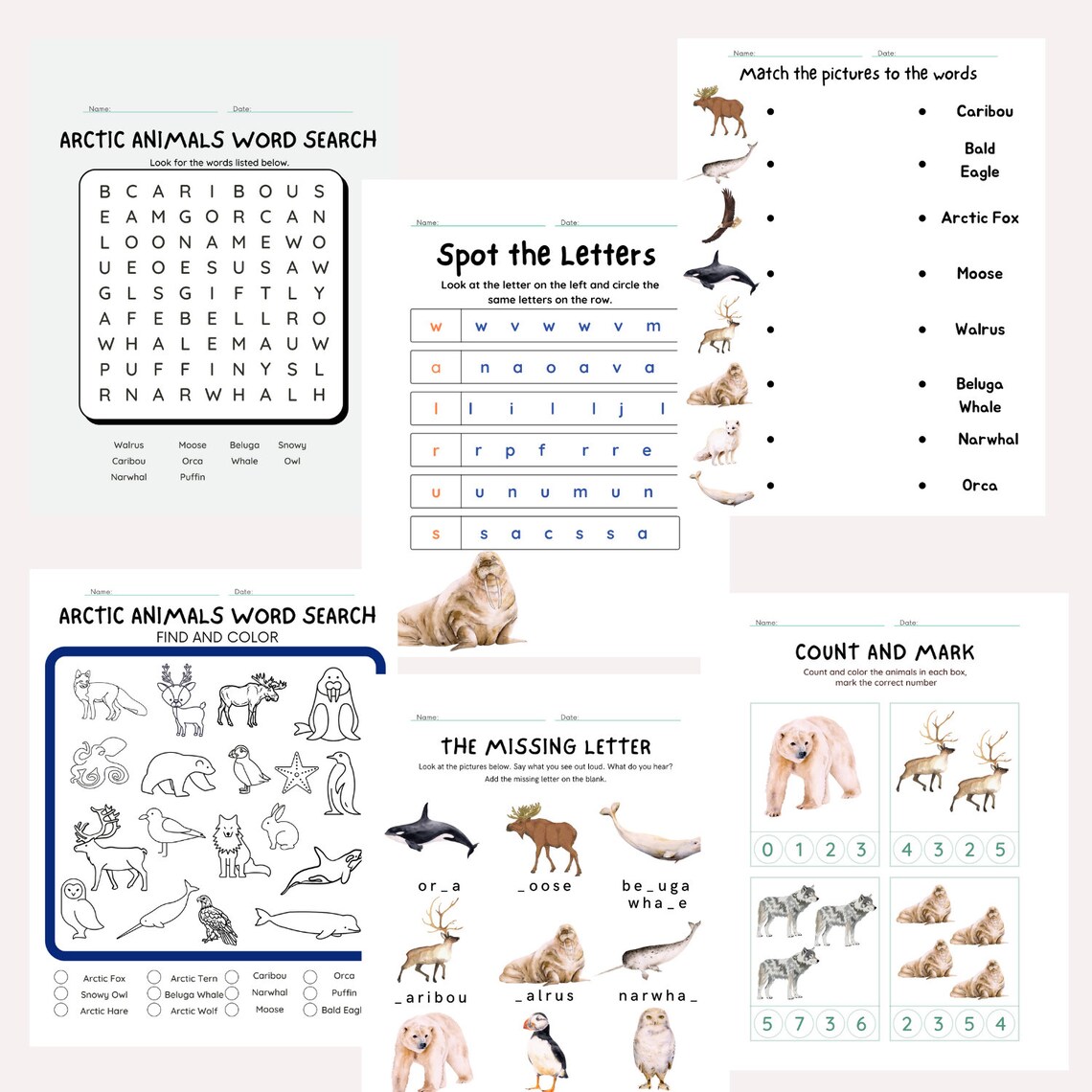Arctic Animals Worksheets Winter Preschool Worksheets for - Etsy