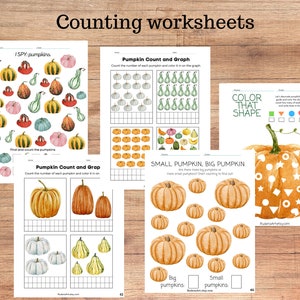 Pumpkin Unit Study, Pumpkin Anatomy and Life Cycle, Pumpkin Varieties ...