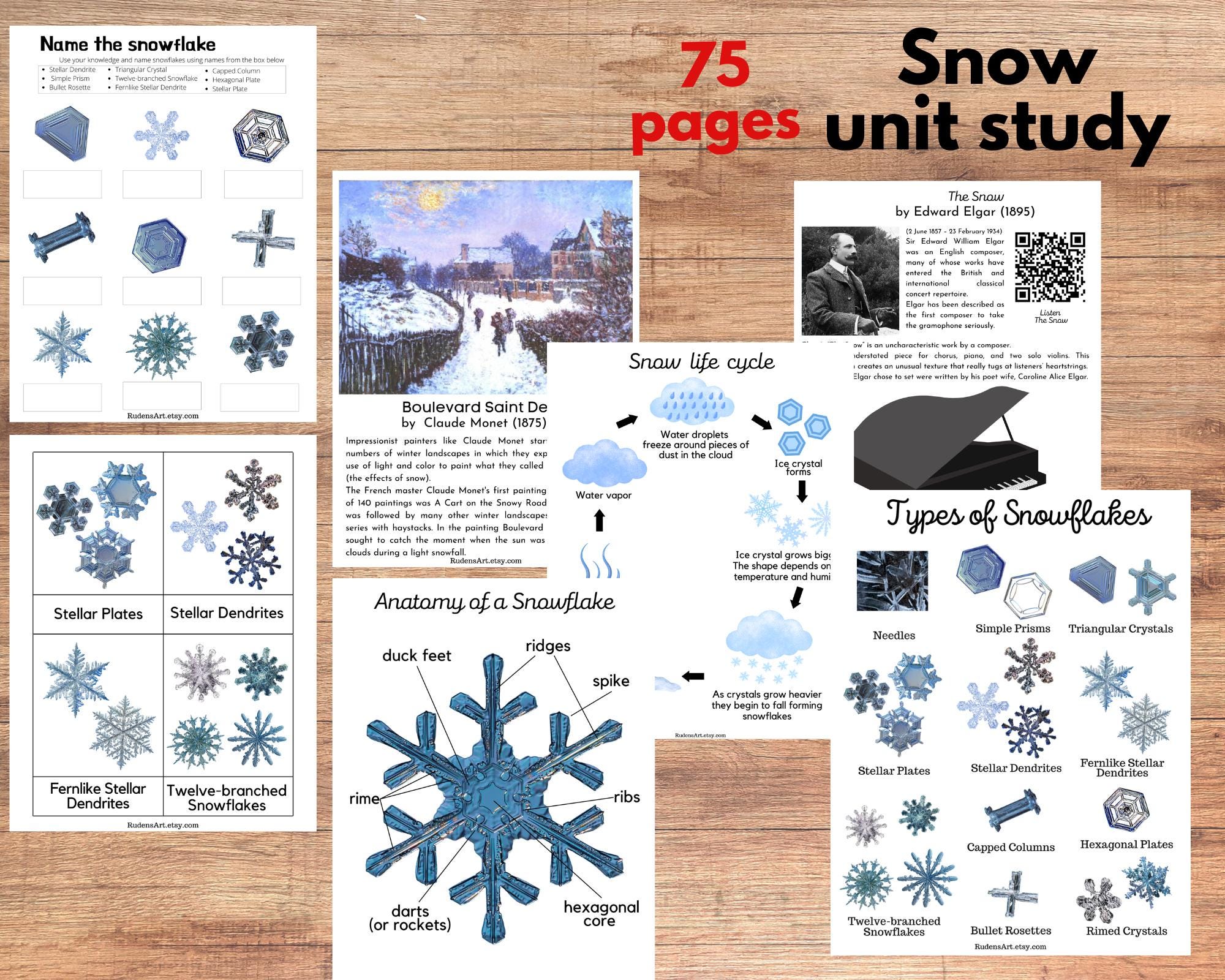 Snow Unit Study, Snowflake Anatomy, Snow Life Cycle, Snowflakes Three ...