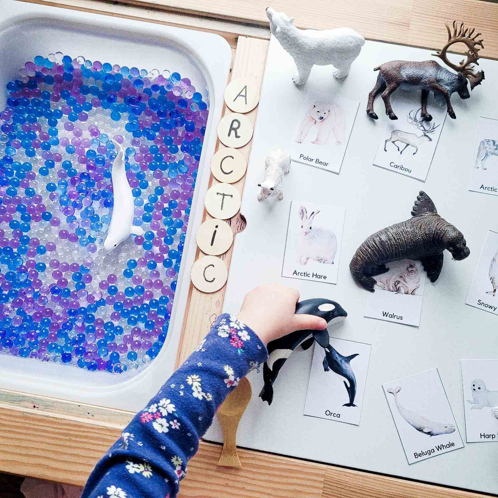 Arctic Animals Flashcards Arctic Animals 3 Part Cards | Etsy