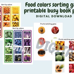 Food Busy Book for Kindergarten and Toddler Kids, Food Theme Learning ...