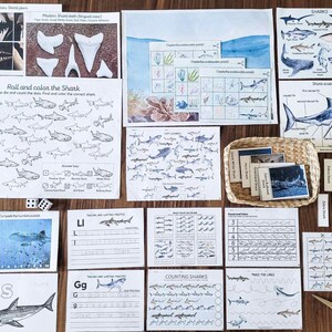 Shark Unit Study, Shark Anatomy and Shark Species Three-part Cards ...