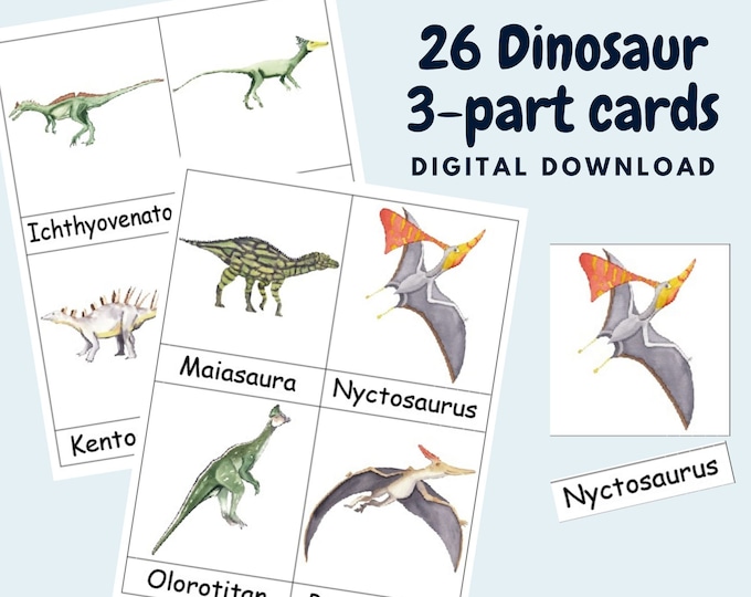 Weather Flashcards, Montessori Three-part Cards, Vocabulary Flash Cards ...