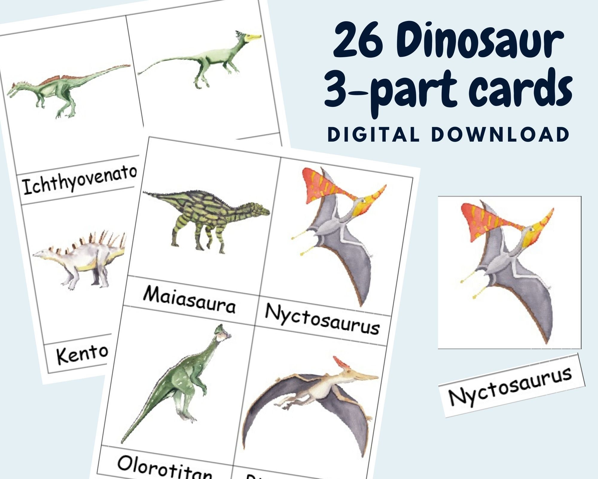 Dinosaur Flash Cards Montessori Three Part Cardsrealistic - Etsy Canada