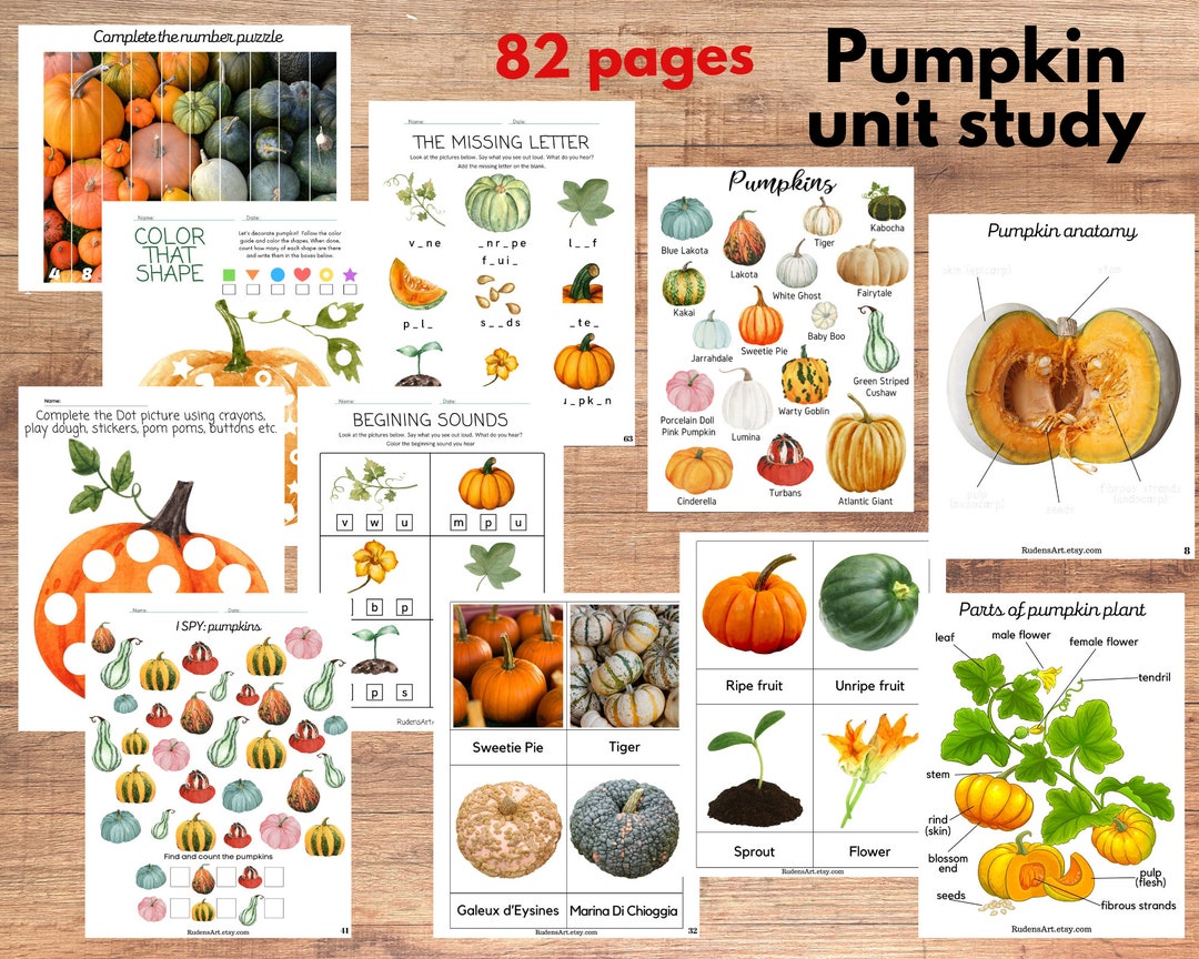 Pumpkin Unit Study, Pumpkin Anatomy and Life Cycle, Pumpkin Varieties ...