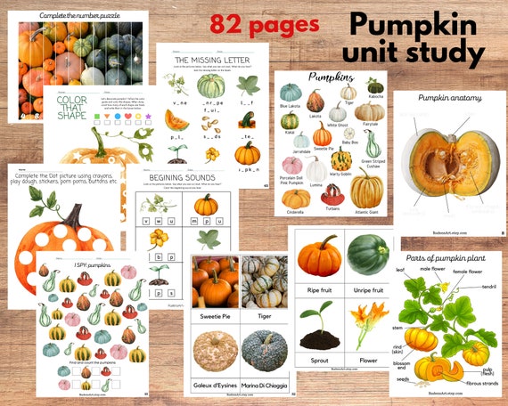 Pumpkin Unit Study Pumpkin Anatomy and Life Cycle Pumpkin - Etsy