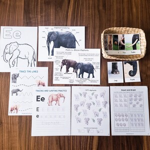 Elephant Unit Study, Elephant Anatomy and Species Three Part Cards ...