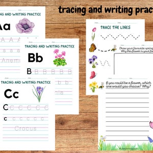 Spring Flowers Learning Pack - Spring Flowers Flashcards, Flowers ...