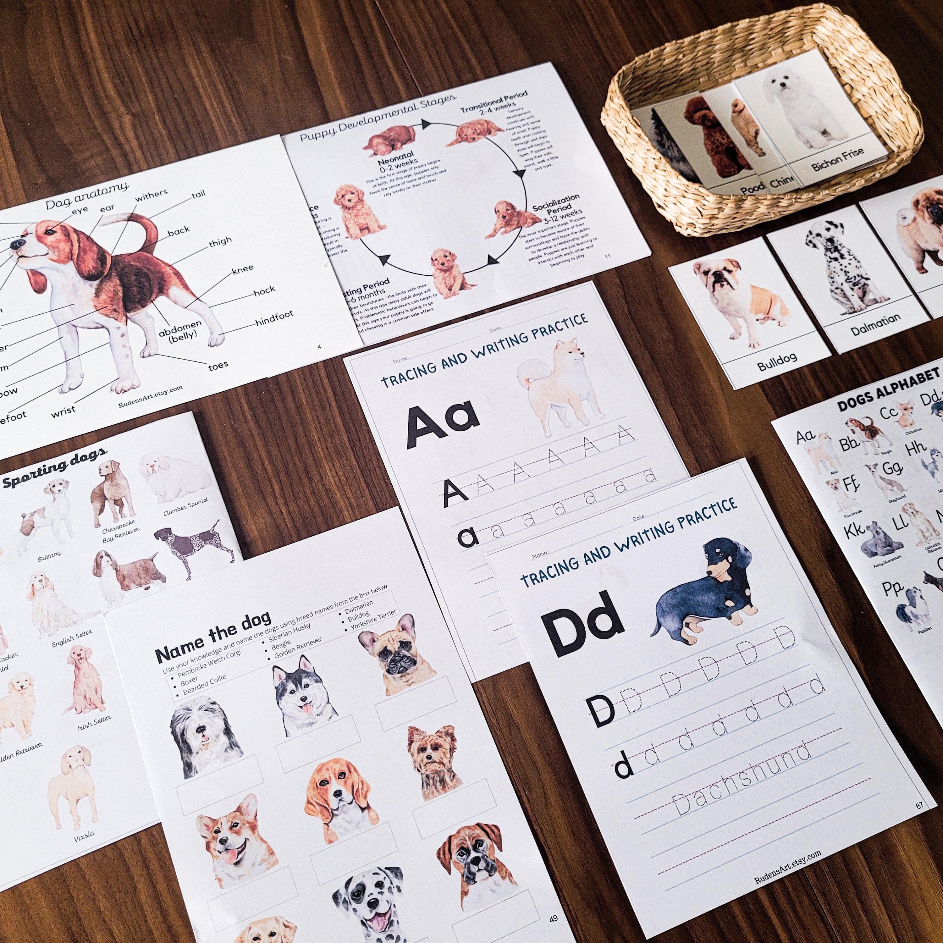 Dogs Unit Study Dog Anatomy and Dog Breeds Three-part Cards - Etsy