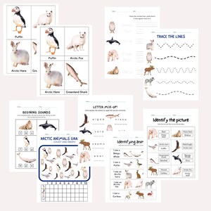 Arctic Animals Worksheets, Winter Preschool Worksheets for Kids ...
