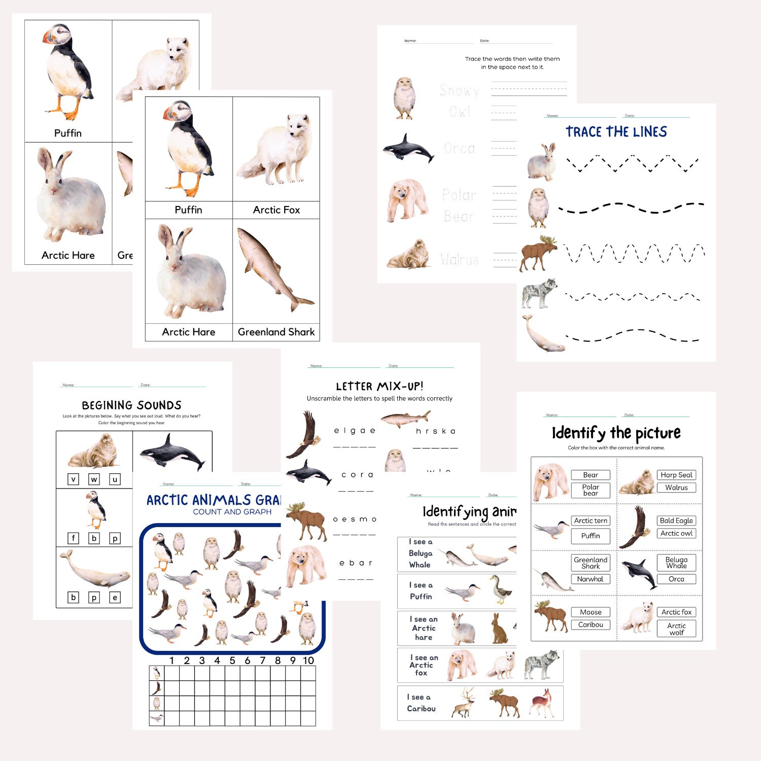 Hoja De Trabajo Sobre Animales De Invierno
