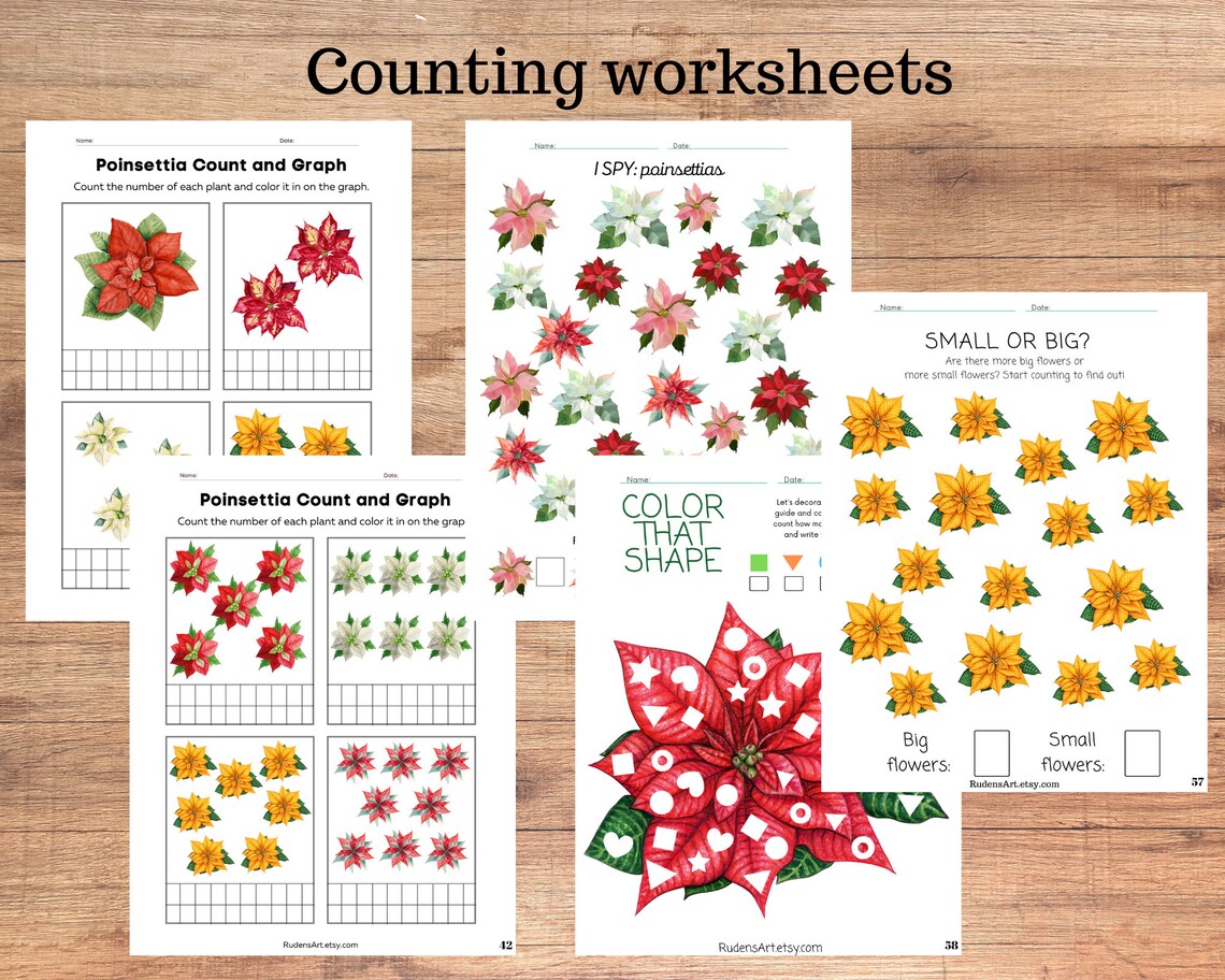 Poinsettia Unit Study Poinsettia Anatomy and Life Cycle - Etsy Canada