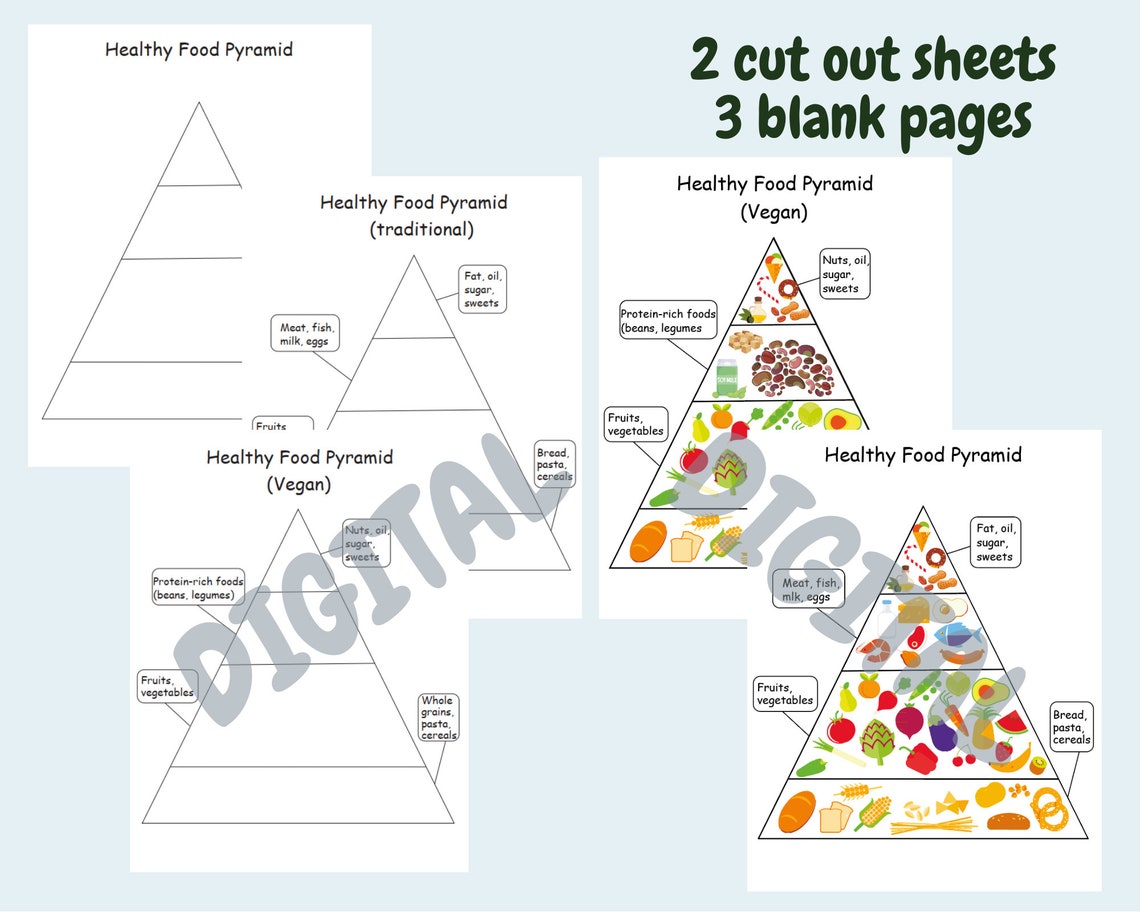 Food Pyramid for Kids, Food Busy Book for Kindergarten and Toddler Kids ...